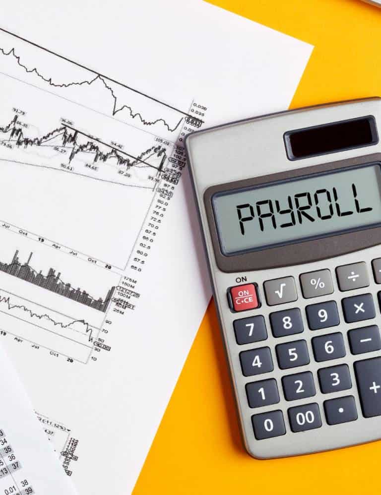 Payroll | SYNERGY